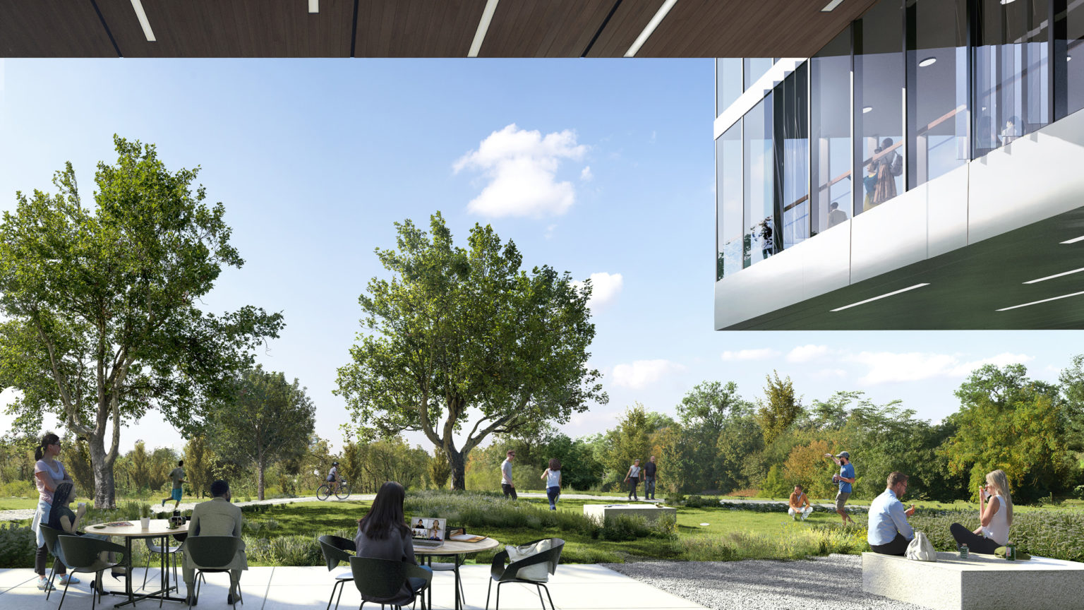 MEADOW - Circle T Ranch