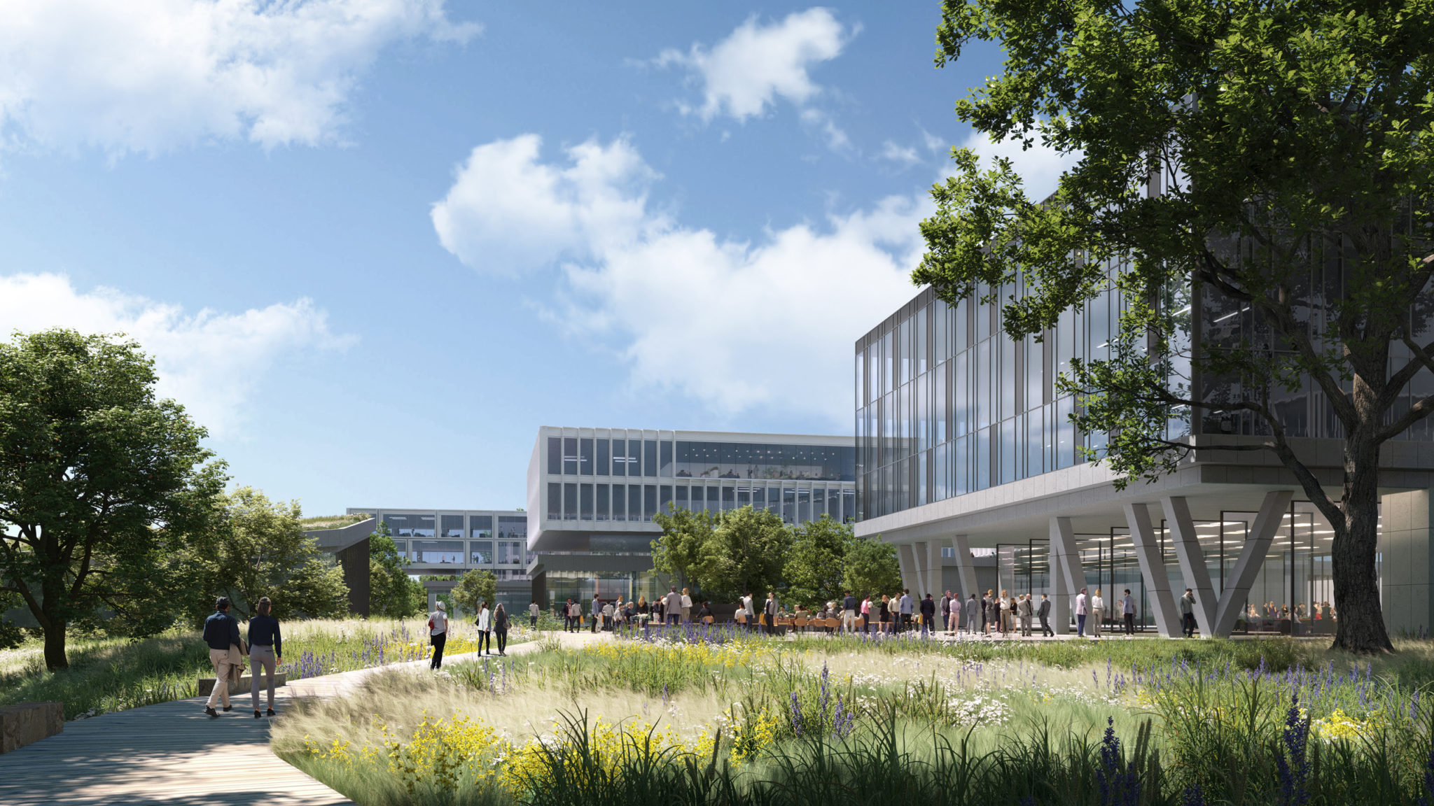 PLAINS - Circle T Ranch