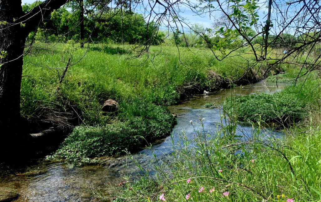 PARKLAND - Circle T Ranch