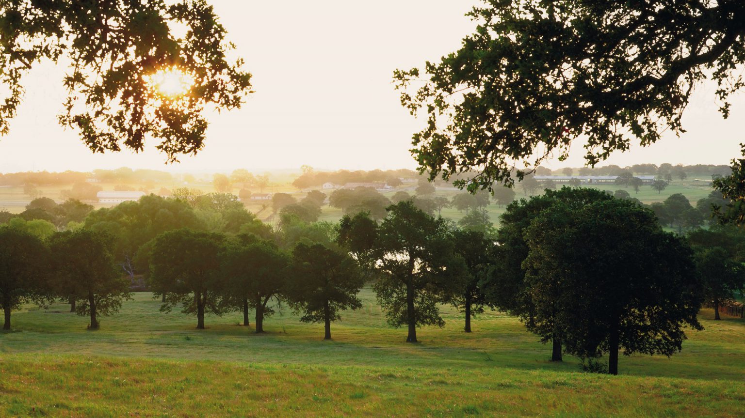 OUR STORY - Circle T Ranch