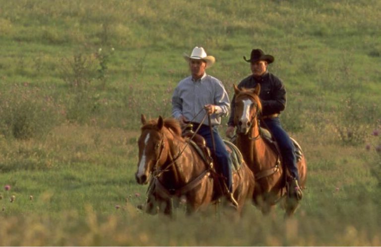 OUR STORY - Circle T Ranch