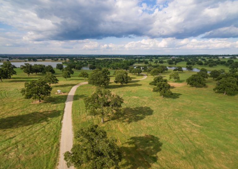 OUR STORY - Circle T Ranch