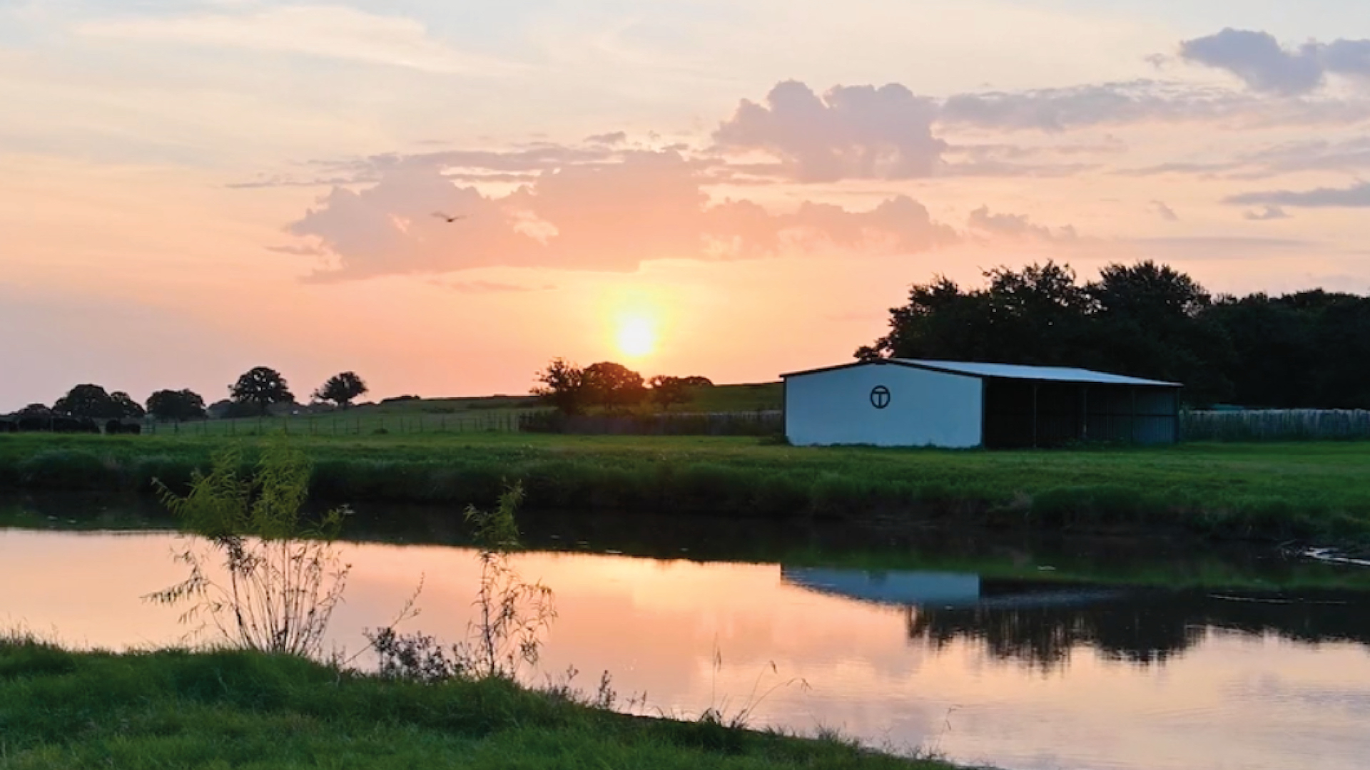 HOME - Circle T Ranch